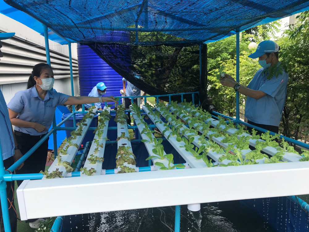 The Challenge of a Sustainable Manufacturing Strategy: Circular Innovation at I-PEX (Thailand ...